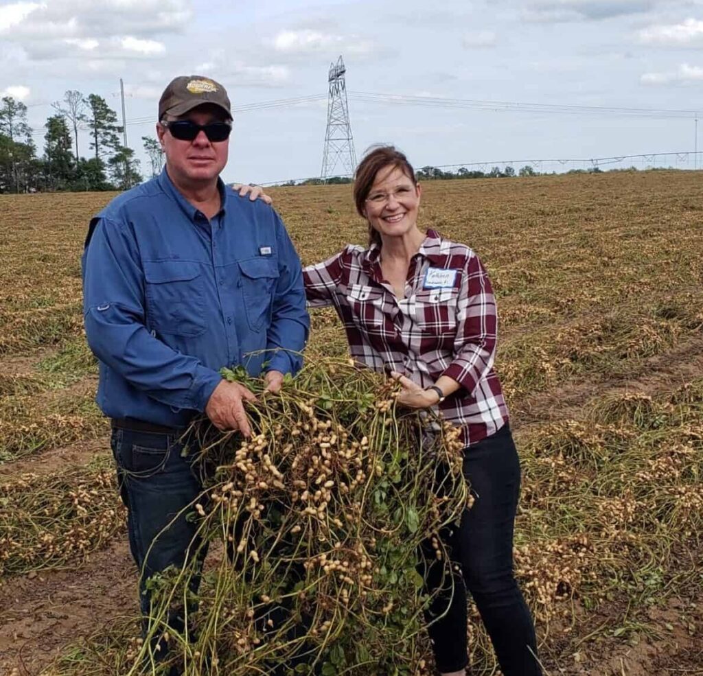 Farm-to-Table Peanut Harvest Tour - Grits and Gouda